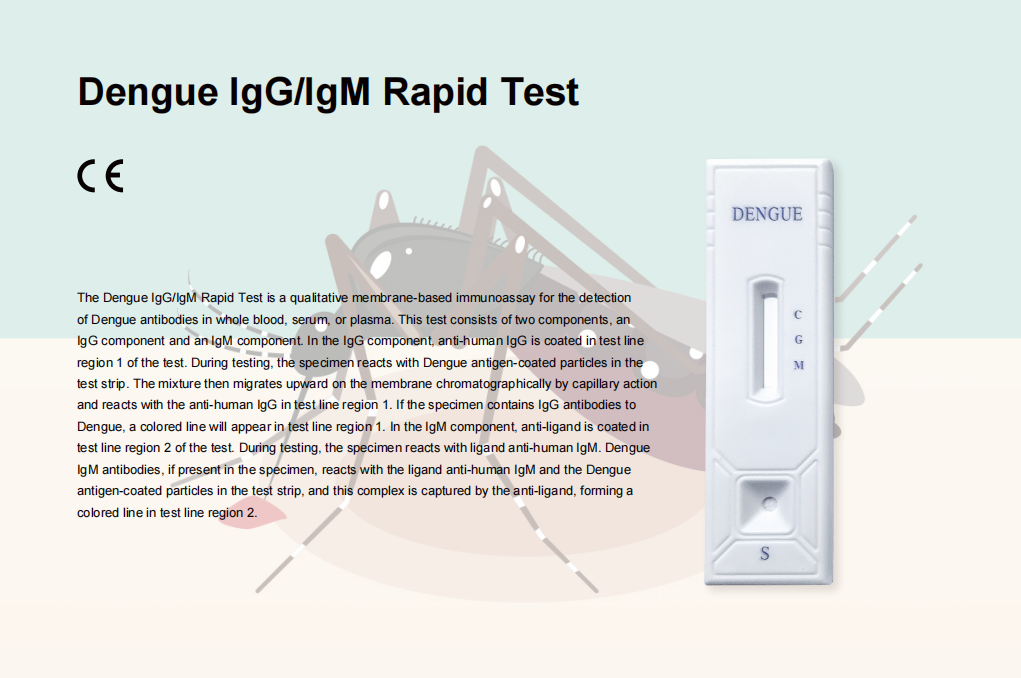 Dengue IgG IgM Rapid Test